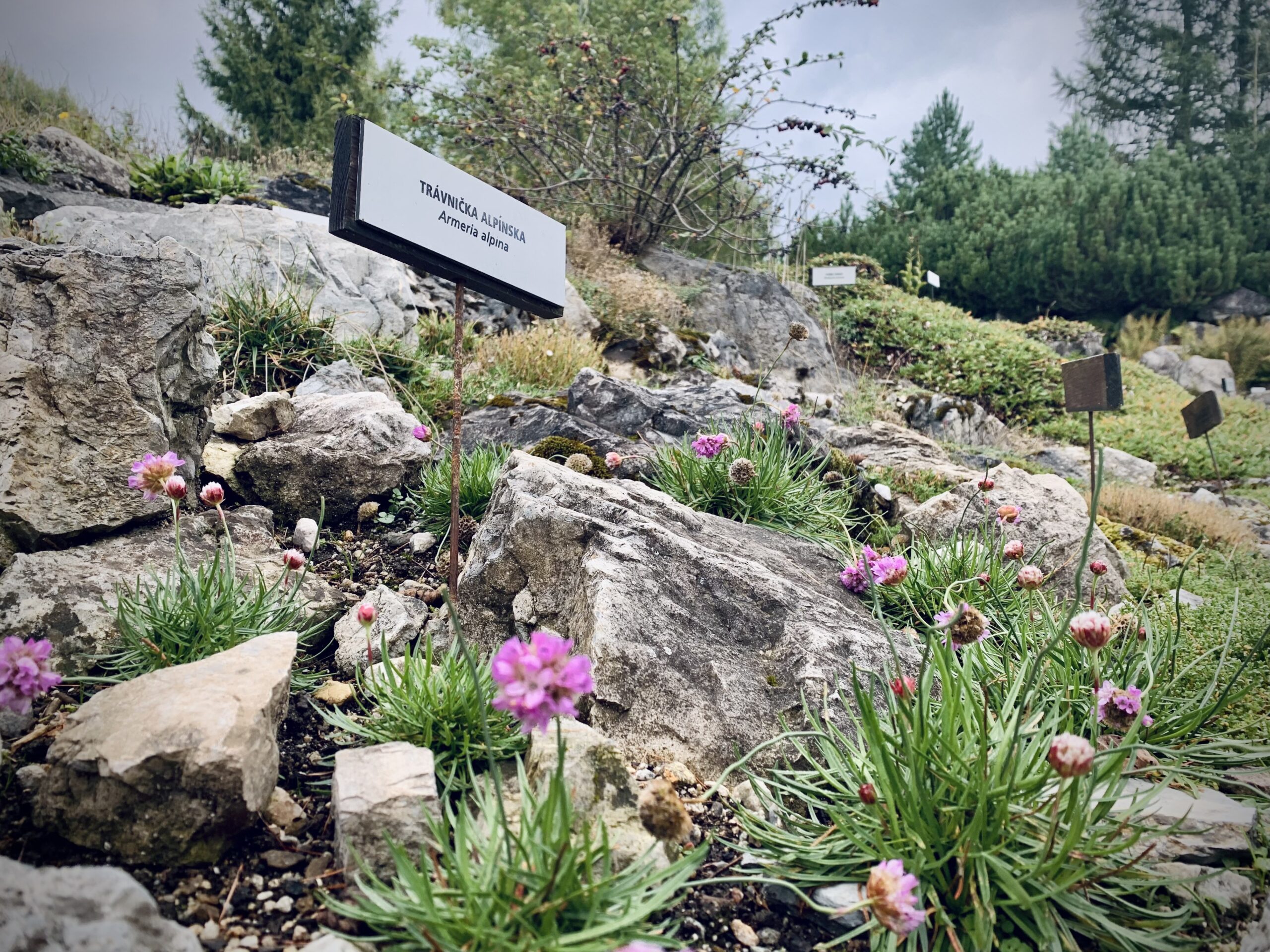 Botanická záhrada ukončila sezónu - Tatranský národný park